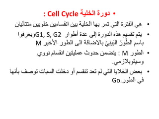 4-cell_cycle.ppt............................................................ | PPT