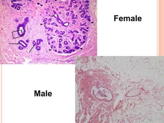 4. Cellular Aberration | PPTX
