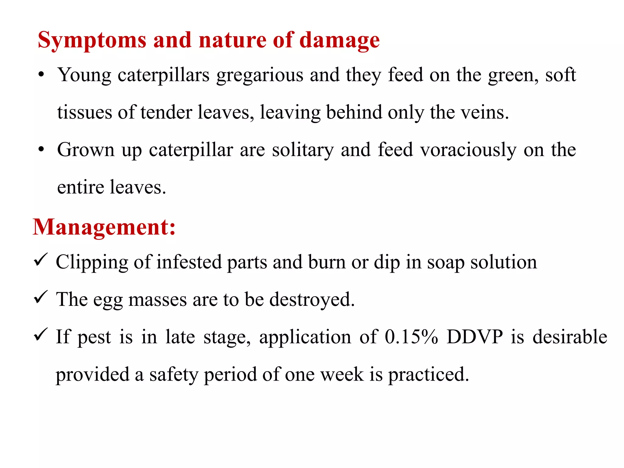 4 chapter pests of mulberry and their management | PPTX