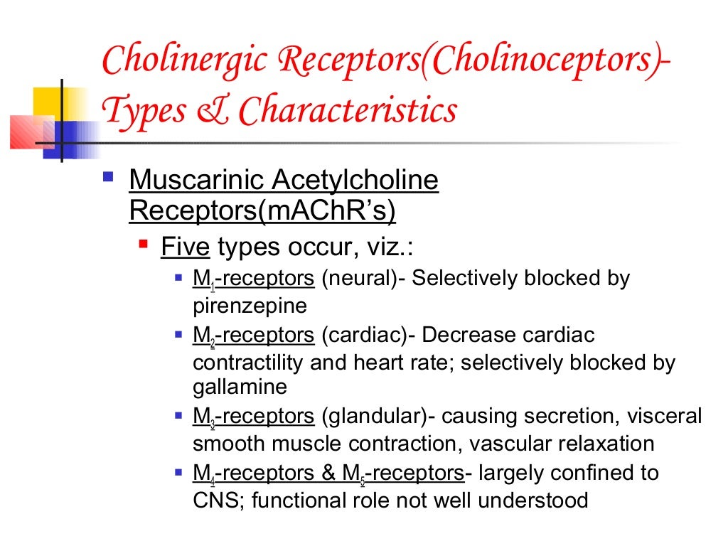 cholinergic drugs