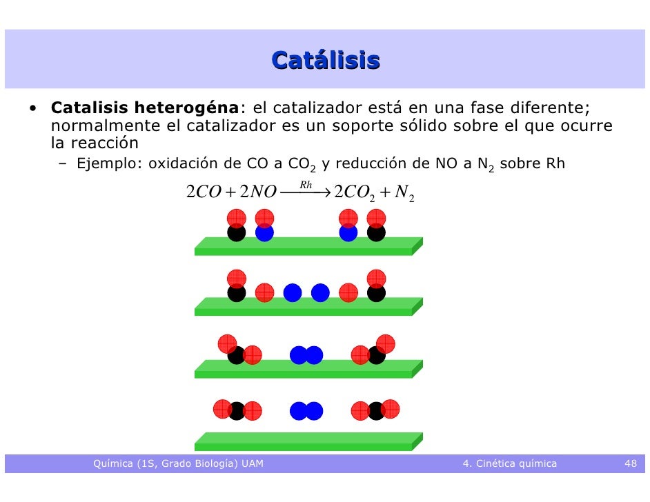 Blog Posts - Photos by Kim