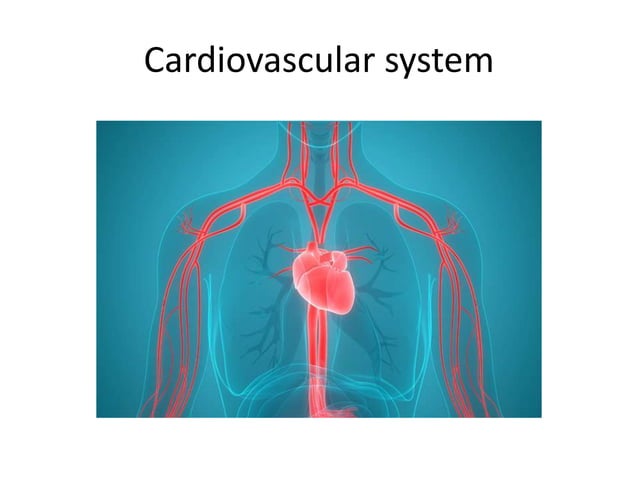 4-circulation emergencies.pptx | First Aid | Injuries