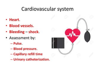 4-circulation emergencies.pptx