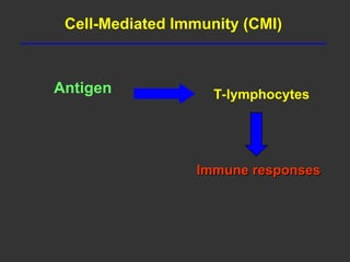 Cell Mediated Immunity in an immune response topic | PPT
