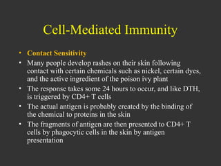 Cell Mediated Immunity in an immune response topic | PPT
