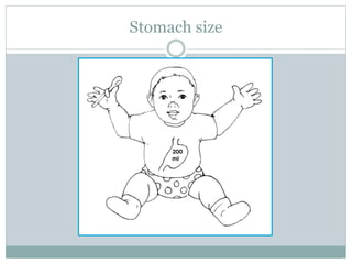 4 complementary-feeding | PPTX