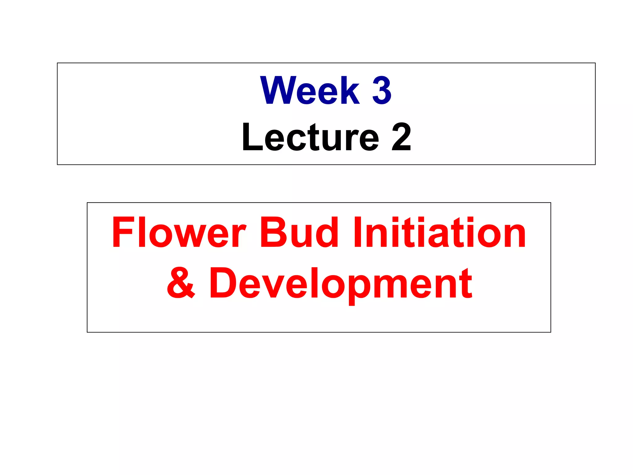 4-Concept of fruit bud formation.ppt