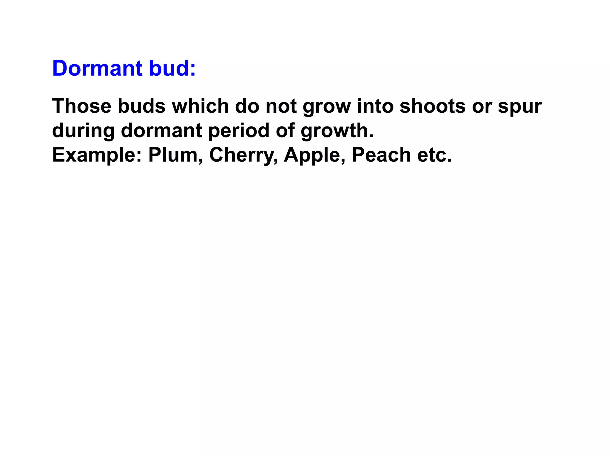 4-Concept of fruit bud formation.ppt