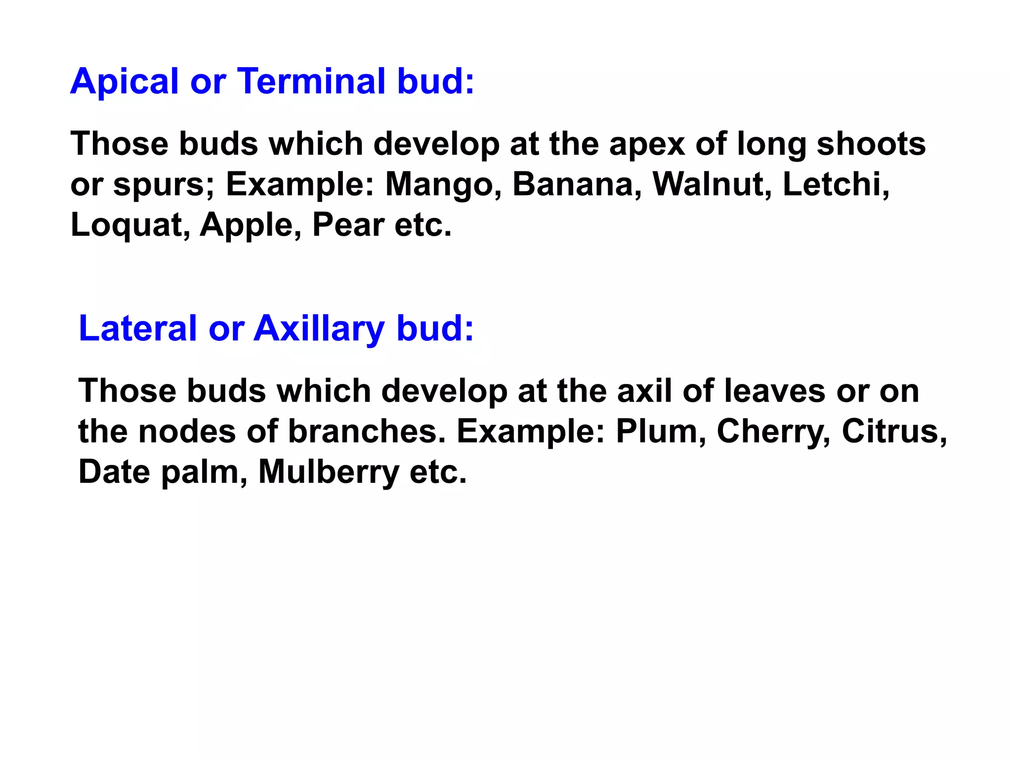 4-Concept of fruit bud formation.ppt