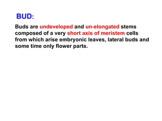 4-Concept of fruit bud formation.ppt