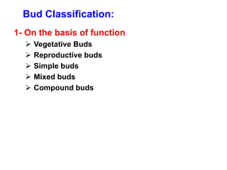 4-Concept of fruit bud formation.ppt