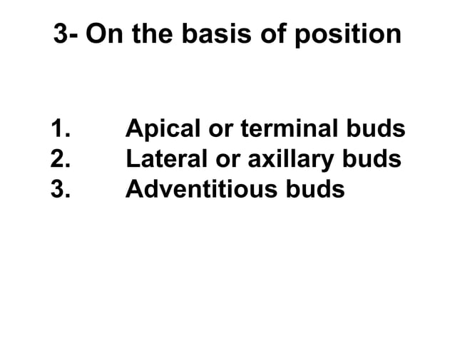 4-Concept of fruit bud formation.ppt