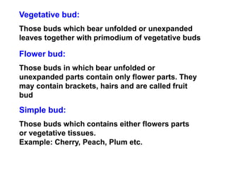 4-Concept of fruit bud formation.ppt