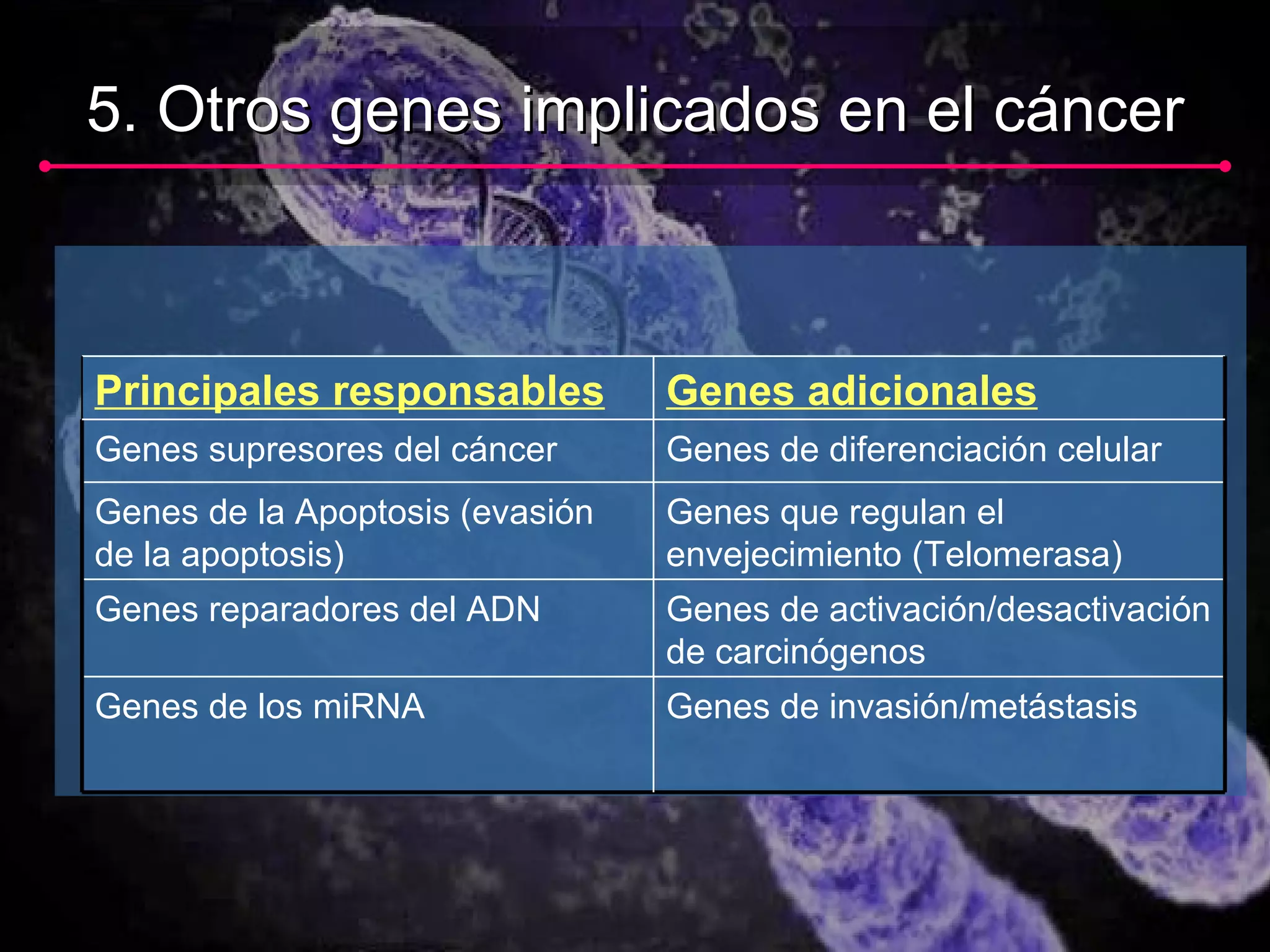 Conversion De Protooncogenes En Oncogenes | PPT