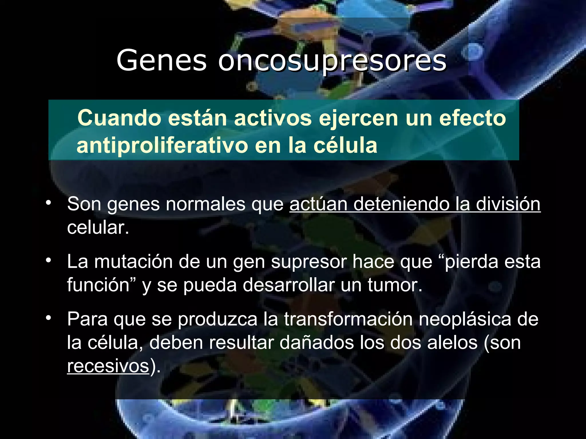 Conversion De Protooncogenes En Oncogenes | PPT