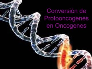 Conversion De Protooncogenes En Oncogenes | PPT