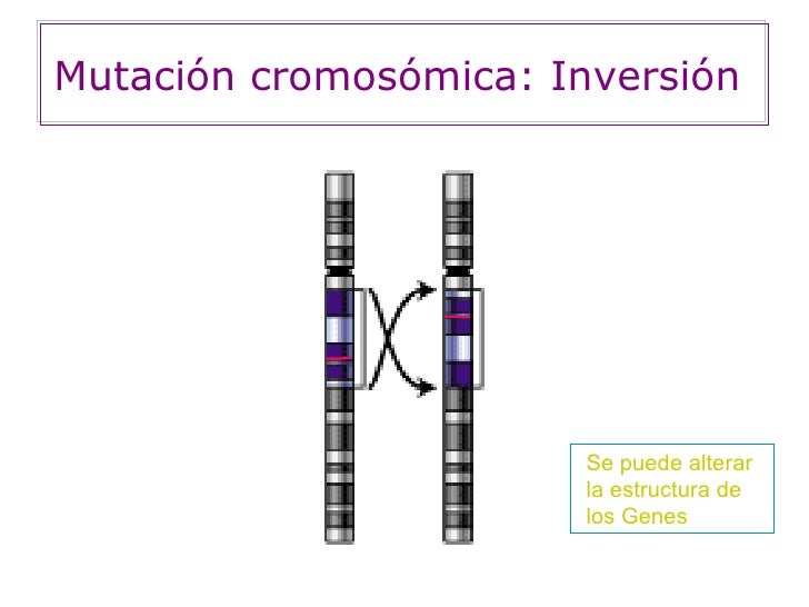 Conversion De Protooncogenes En Oncogenes