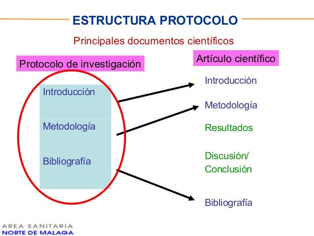 Protocolo De Investigacion Estructura - abstractor