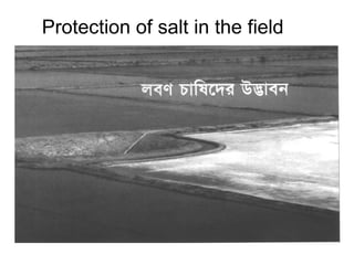 4 Cyclone Disaster Preparedness And Response | PPT