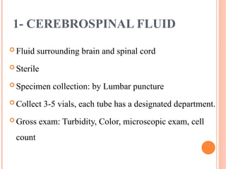 4- Cytology of Body Fluid.ppt body fluids | PPT