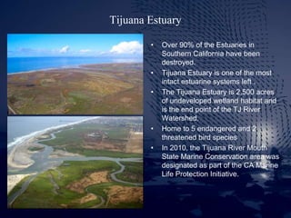 4 dan murphy & mark west - surfrider no bs campaign | PPTX