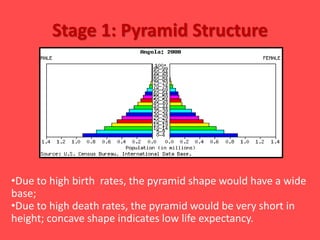 4 demographic transition model | PPTX
