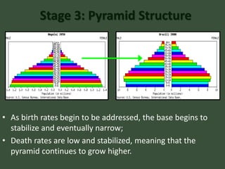 4 demographic transition model | PPTX
