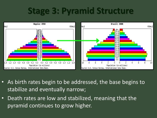 4 demographic transition model | PPTX