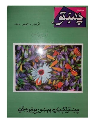 Depression Pashto | PDF