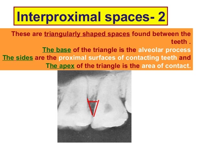 direct factors and their significeance in protection of periodontium