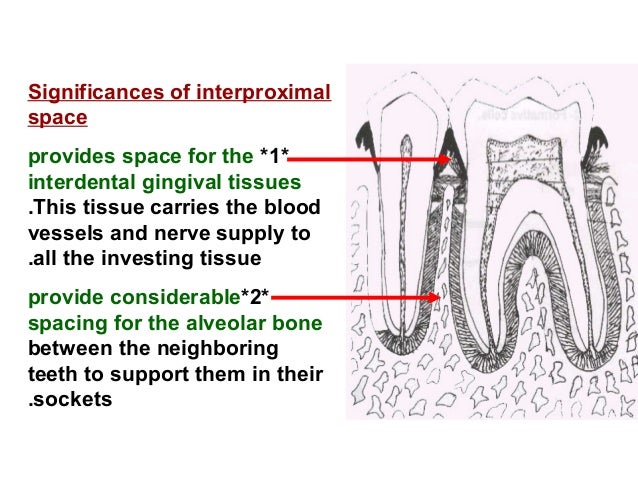 direct factors and their significeance in protection of periodontium