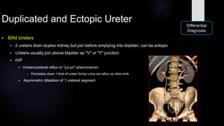 4-disorders of the ureter and urinary bladdder.pdf
