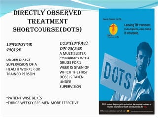 4.Dots