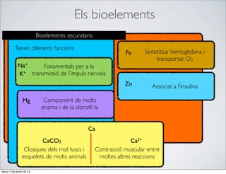 04. Els bioelements | PPT | Free Download