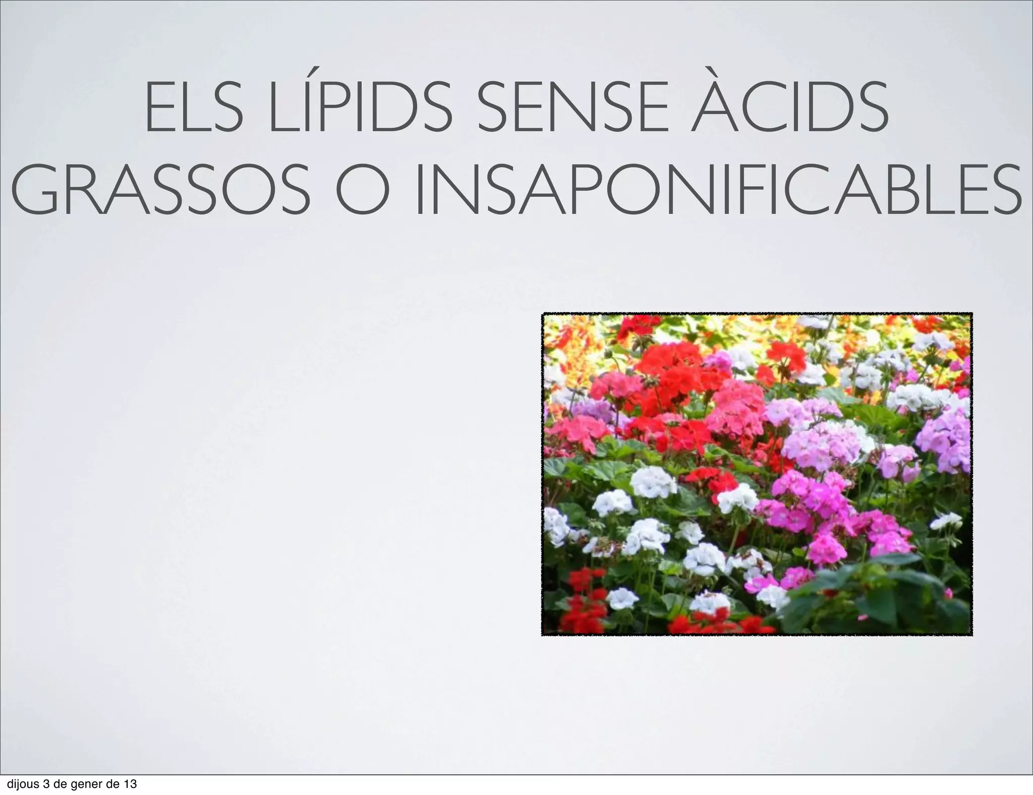 17. Els lípids sense àcids grassos o insaponificables | PDF