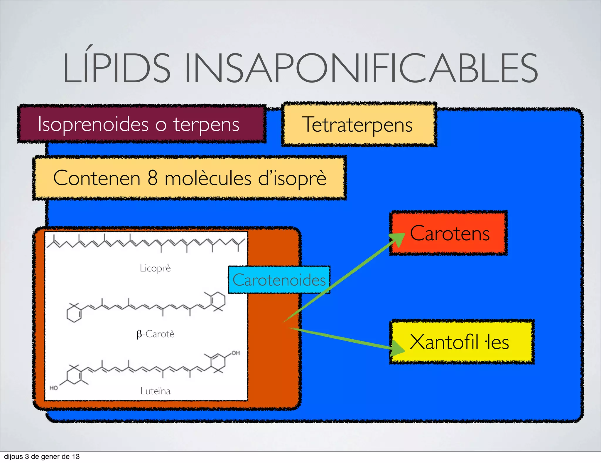 17. Els lípids sense àcids grassos o insaponificables | PPT