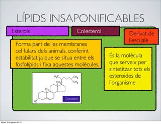 17. Els lípids sense àcids grassos o insaponificables | PDF