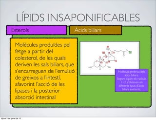 17. Els lípids sense àcids grassos o insaponificables | PDF