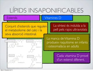 17. Els lípids sense àcids grassos o insaponificables | PDF