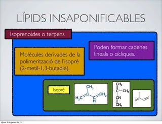 17. Els lípids sense àcids grassos o insaponificables | PDF