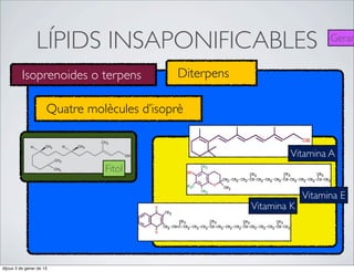 17. Els lípids sense àcids grassos o insaponificables | PDF