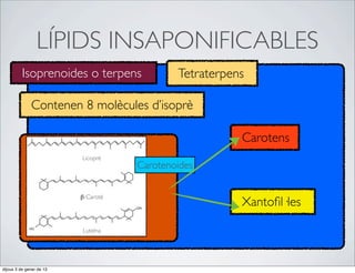 17. Els lípids sense àcids grassos o insaponificables | PDF