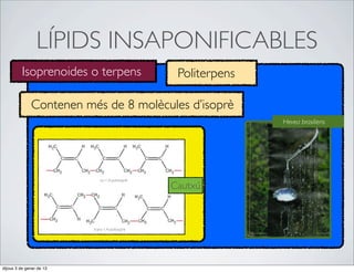 17. Els lípids sense àcids grassos o insaponificables | PDF