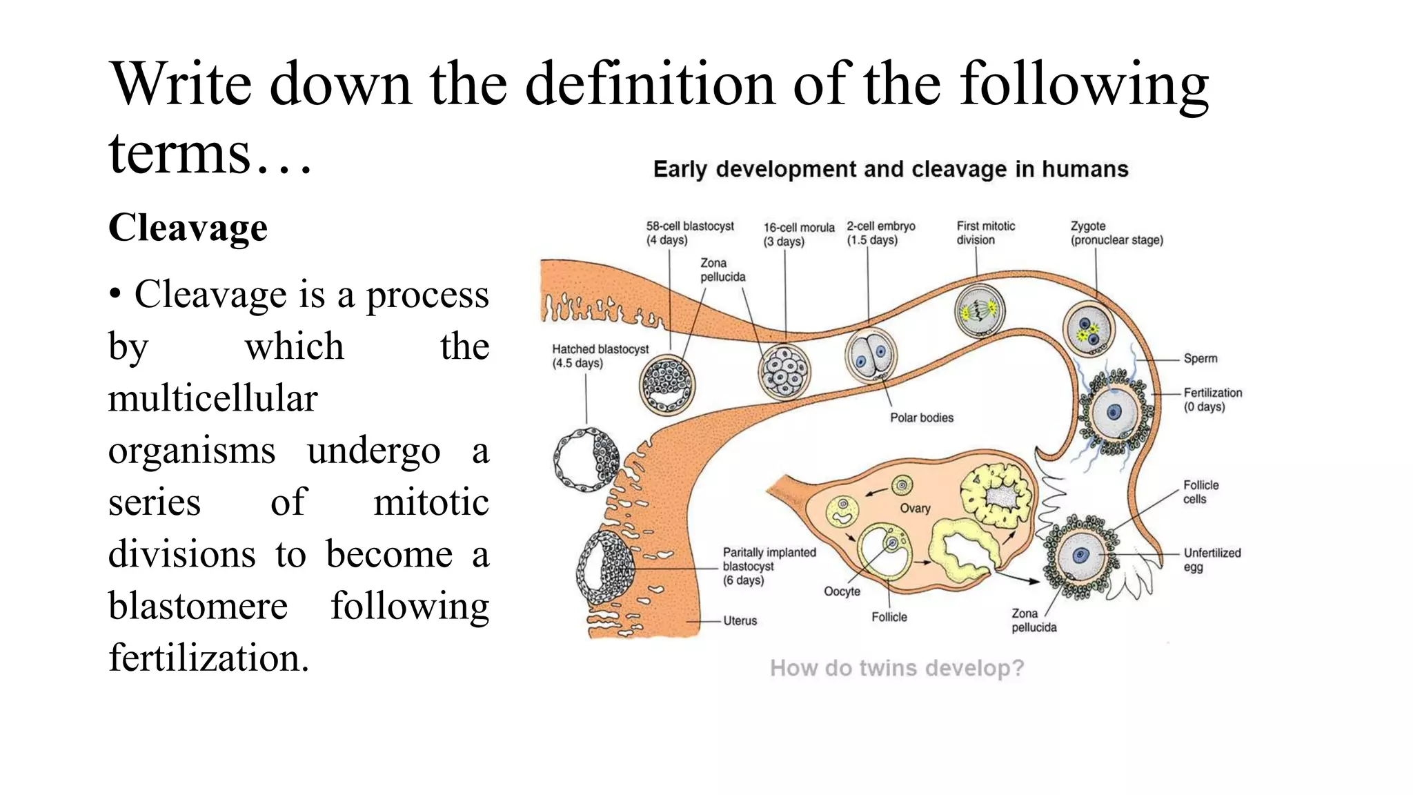 4-EMBRYOLOGICAL_DEVELOPMENT_OF_BODY_TISSUES,_ORGANS_AND_SYSTEMS.[1].pptx