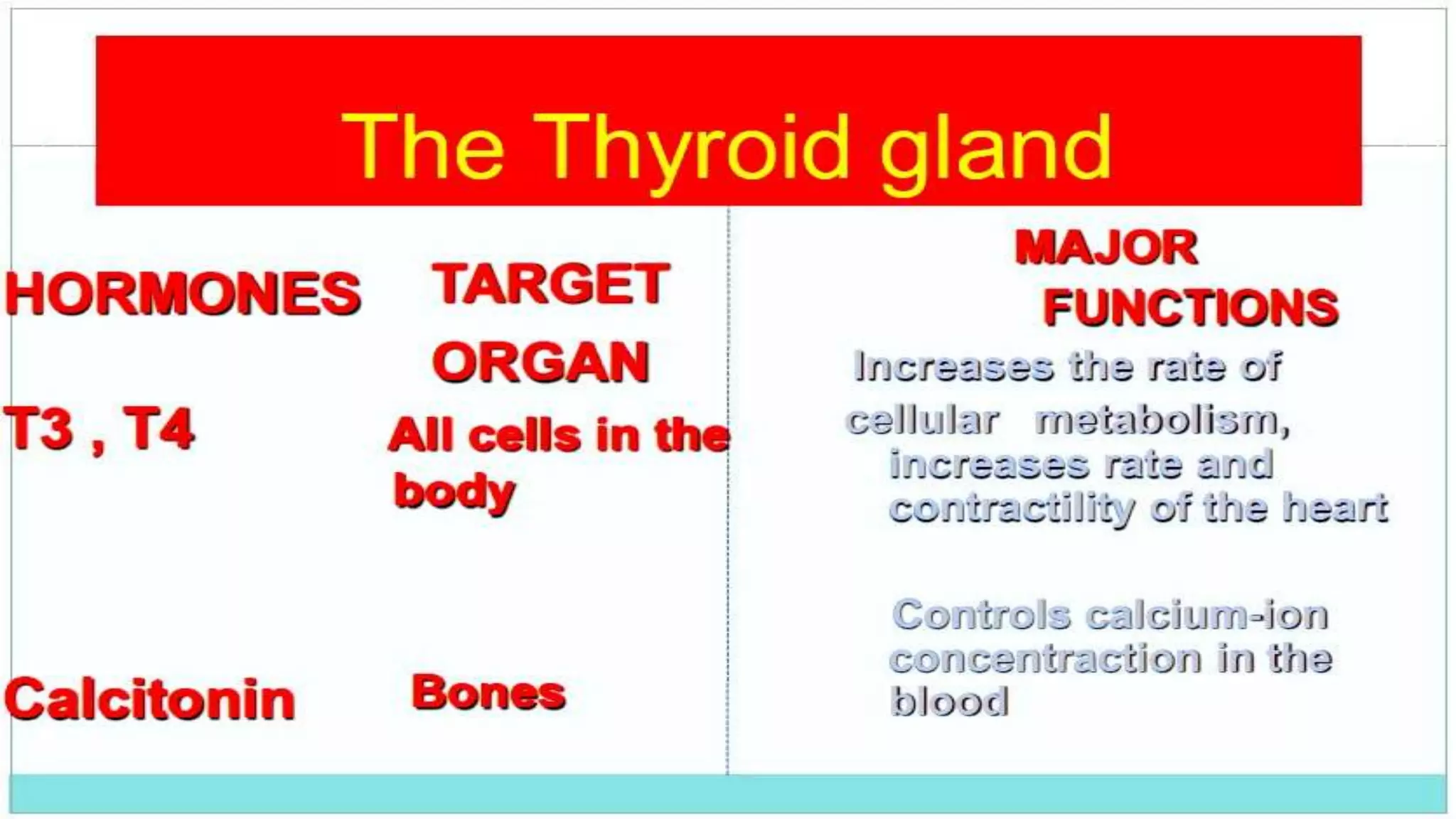 physiology : endocrine system | POT | Endocrine and Metabolic Diseases ...