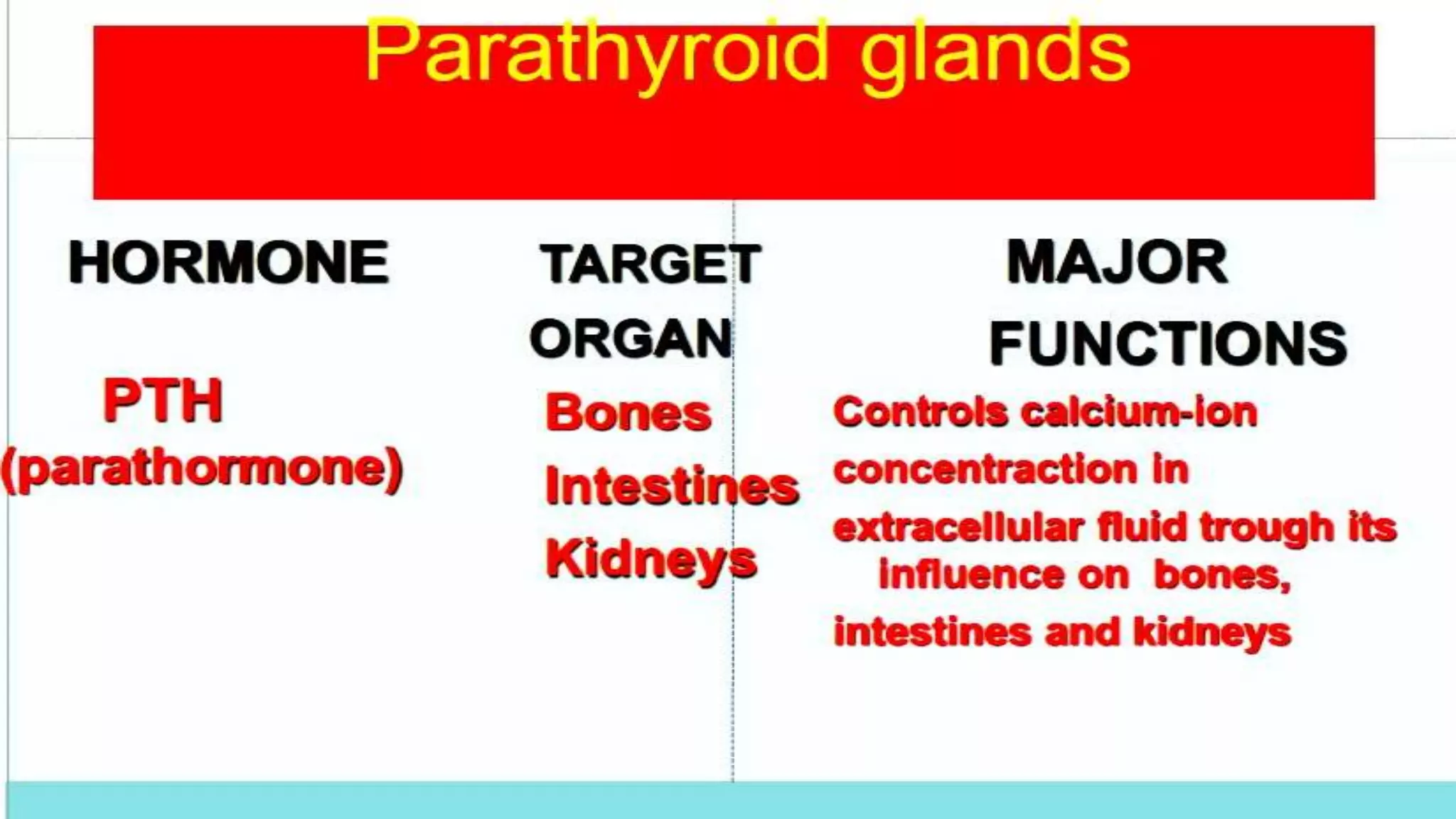 physiology : endocrine system | POT | Endocrine and Metabolic Diseases ...
