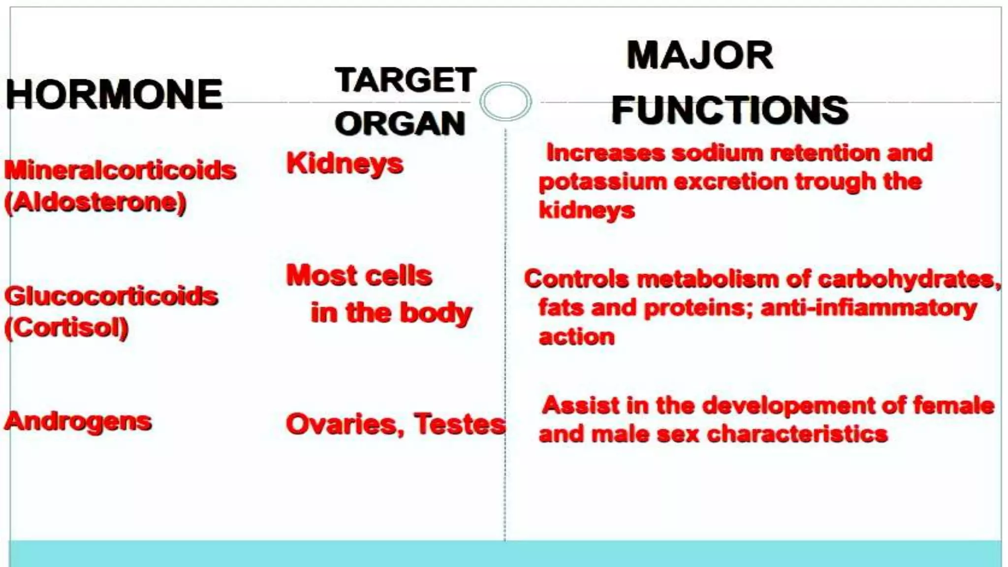 physiology : endocrine system | POT | Endocrine and Metabolic Diseases ...