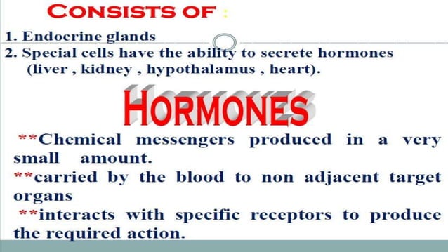 physiology : endocrine system | POT