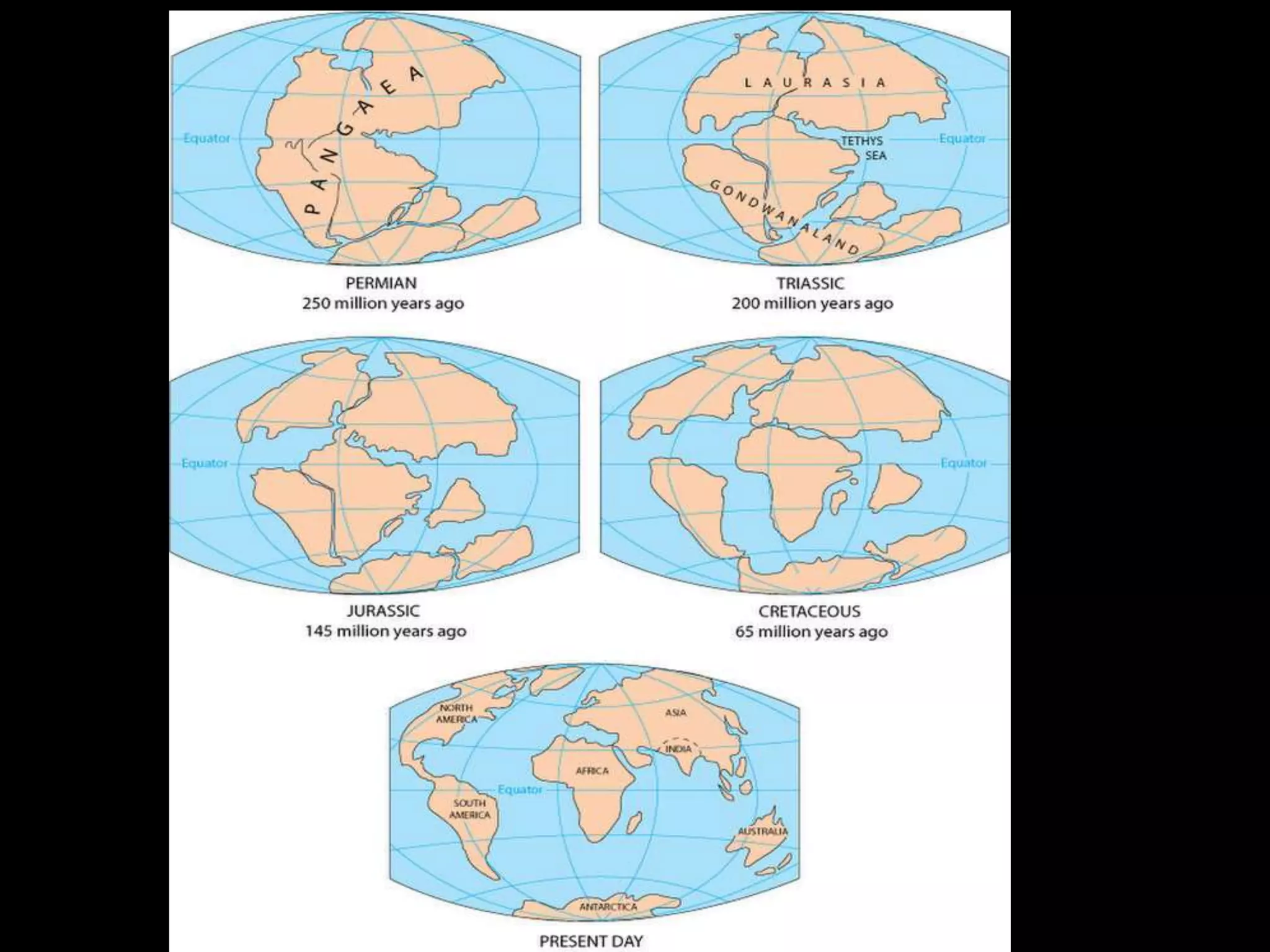 CONTINENTAL DRIFT THEORY EVIDENCES ppt | PPT
