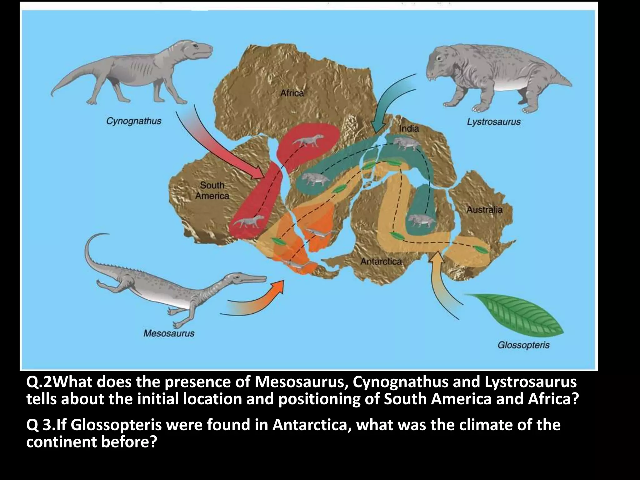 CONTINENTAL DRIFT THEORY EVIDENCES ppt | PPT